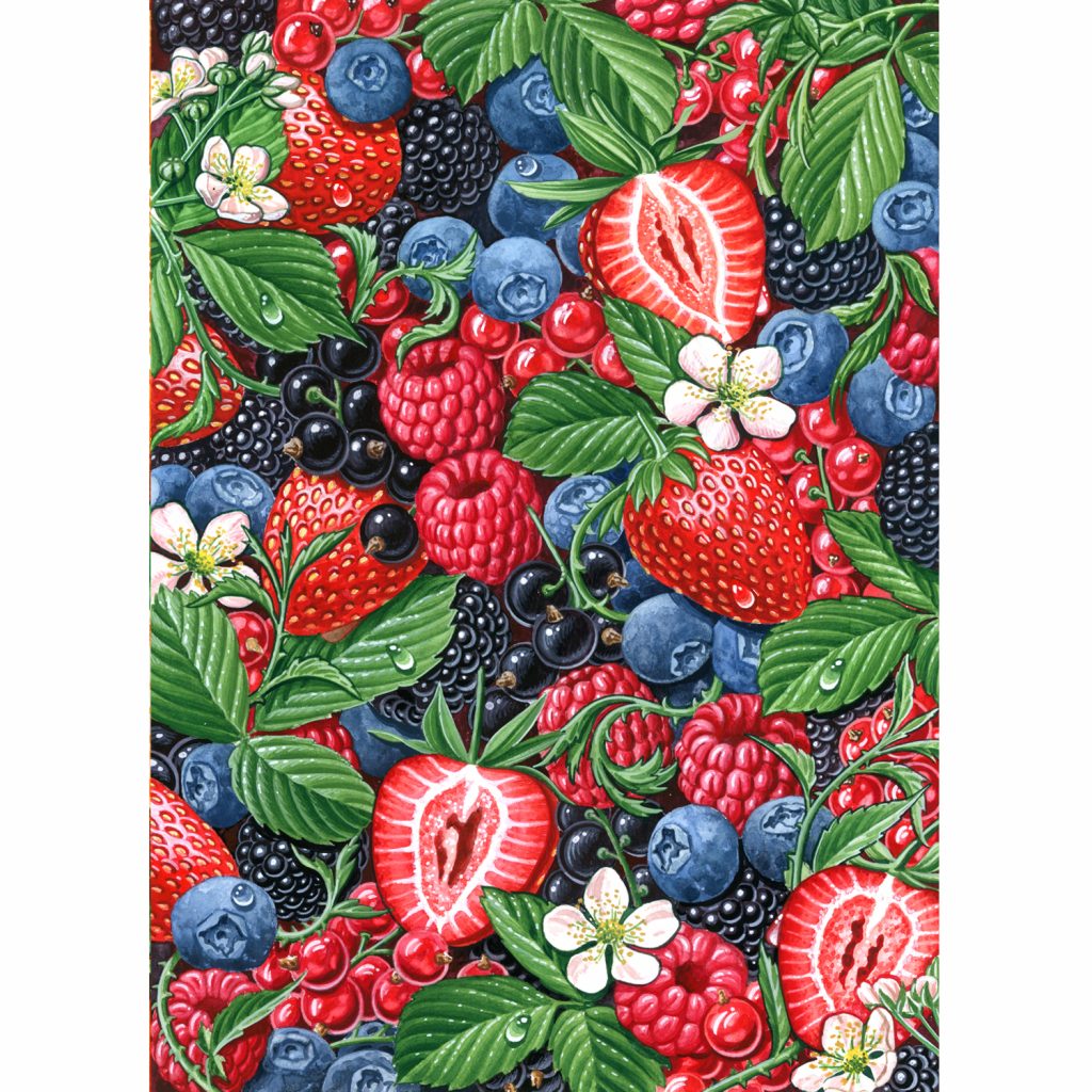 Composition Fruits Des Bois - Amelie Claire illustration traditionnelle