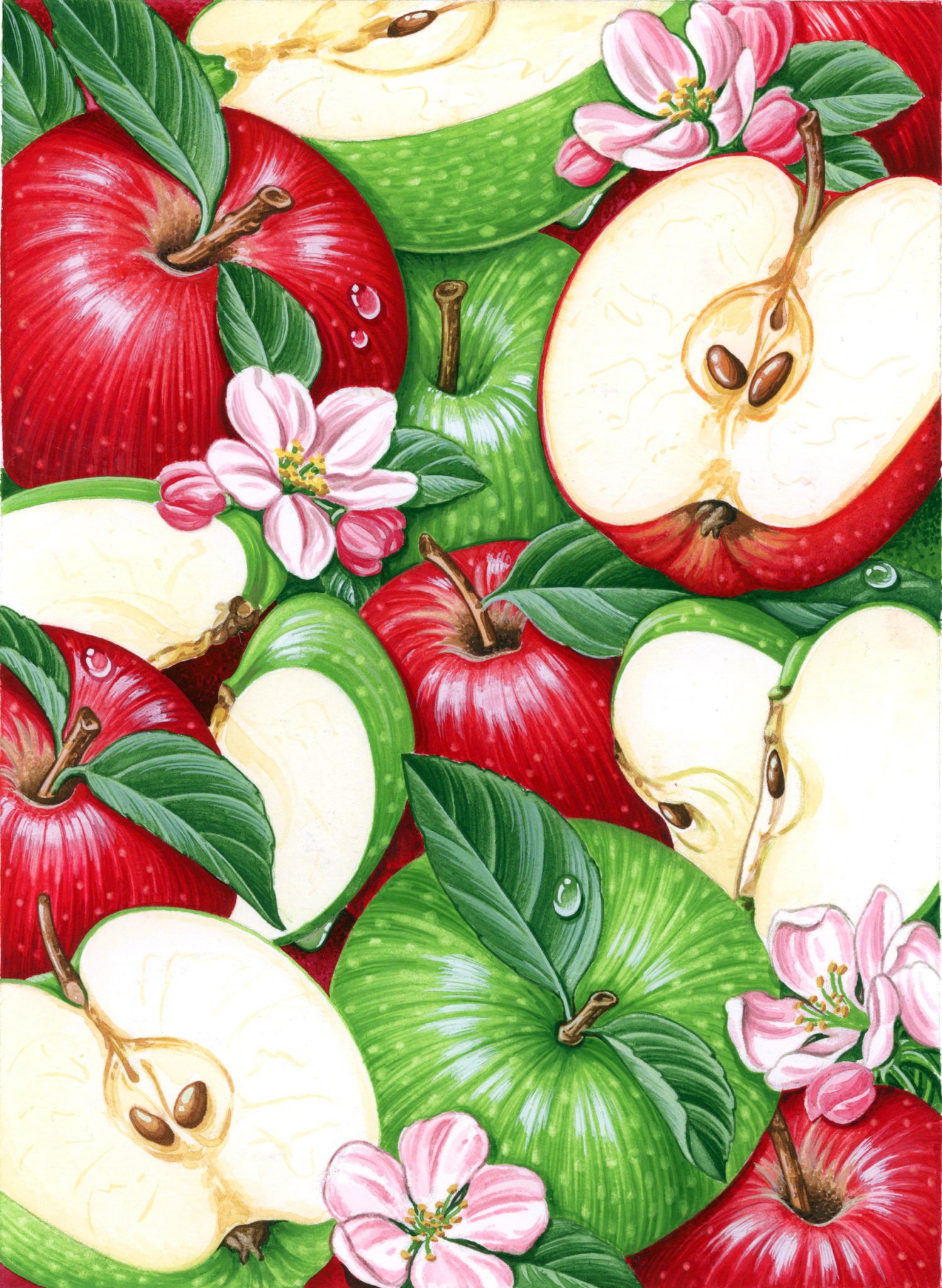 Composition pomme rouge pomme verte - Amelie Claire illustration ...